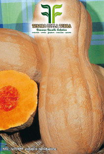 Semi di zucca "Butternut Rugosa" - Make Your Green